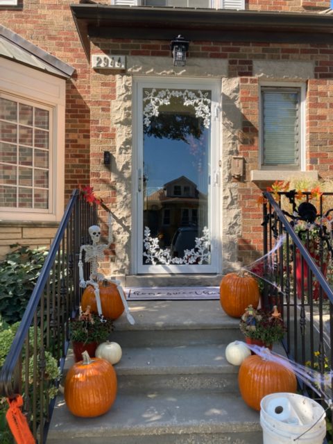 Front And Back Security Storm Doors Defender Steel Door & Window ...