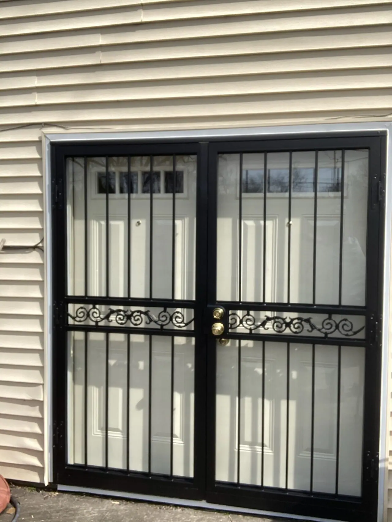 Double Steel Entry and Security Storm Doors